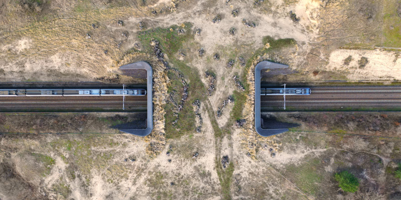 Homepage - Asset Management - Homepage - Asset Management