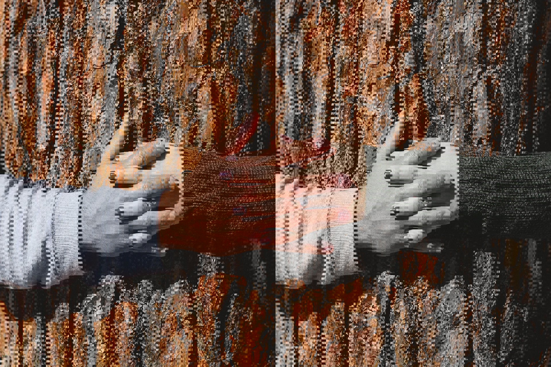 APG Strategic Real Estate Pool | Homepage - Asset Management