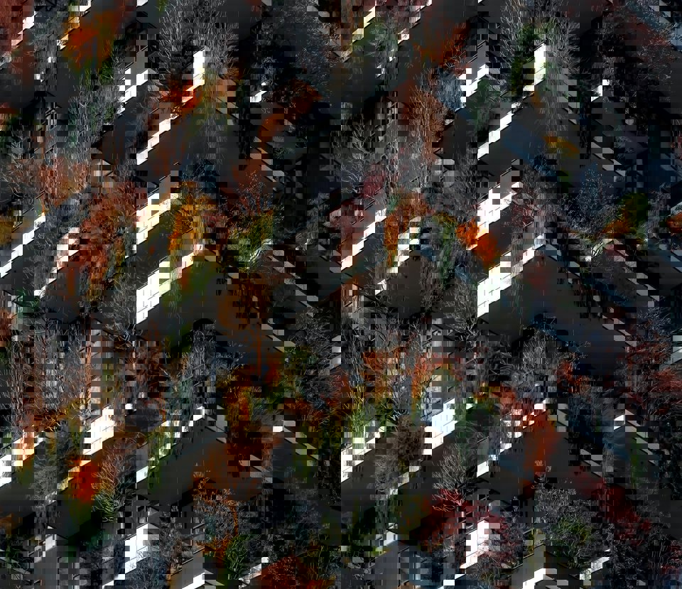 APG AM acquires majority stake in landmark forestry asset | Homepage ...