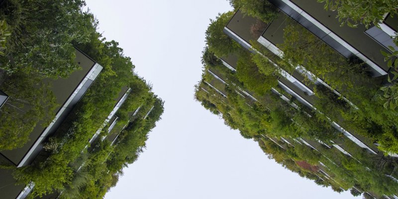 Homepage - Asset Management - Homepage - Asset Management