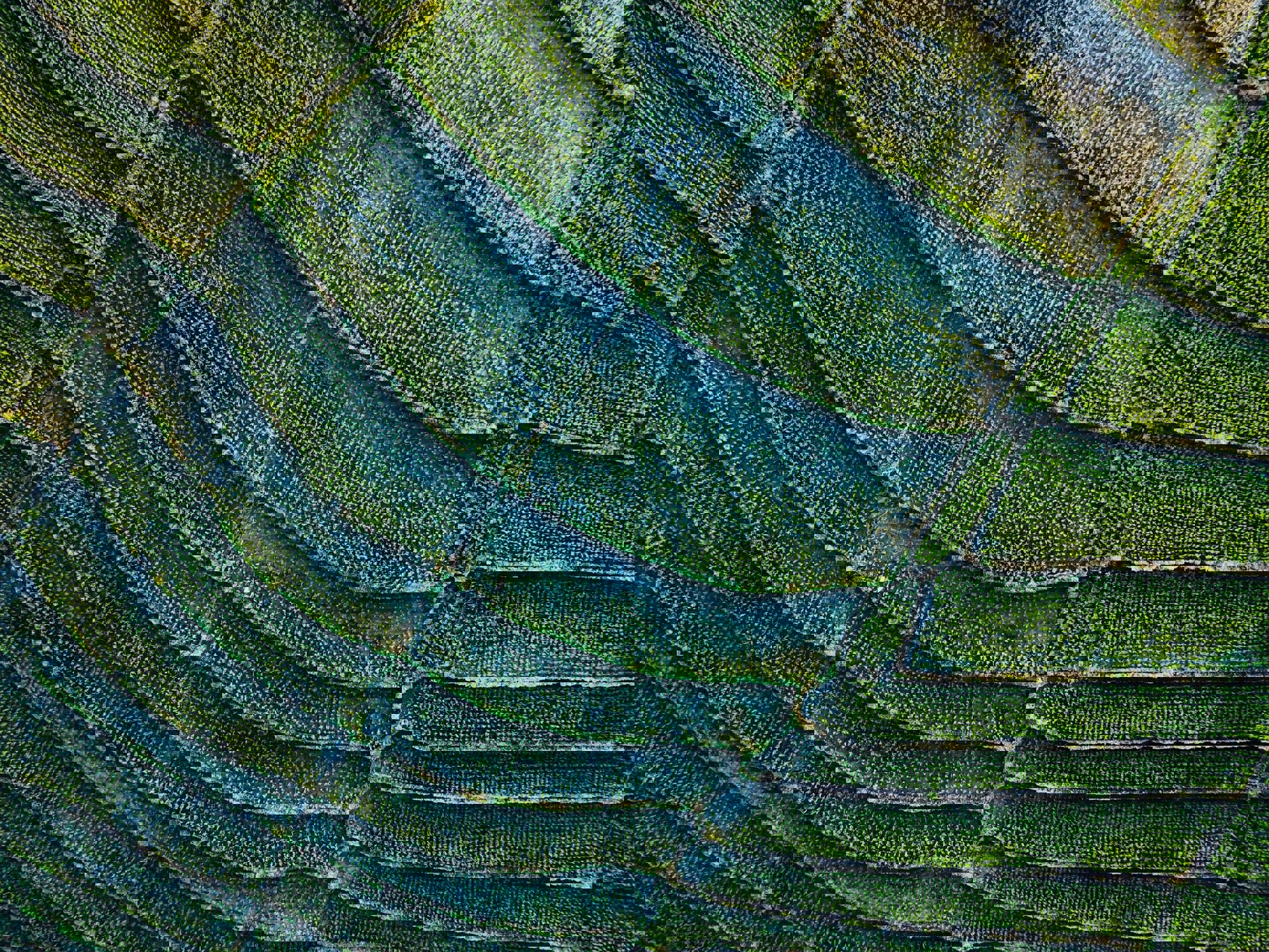 APG Strategic Real Estate Pool | Homepage - Asset Management