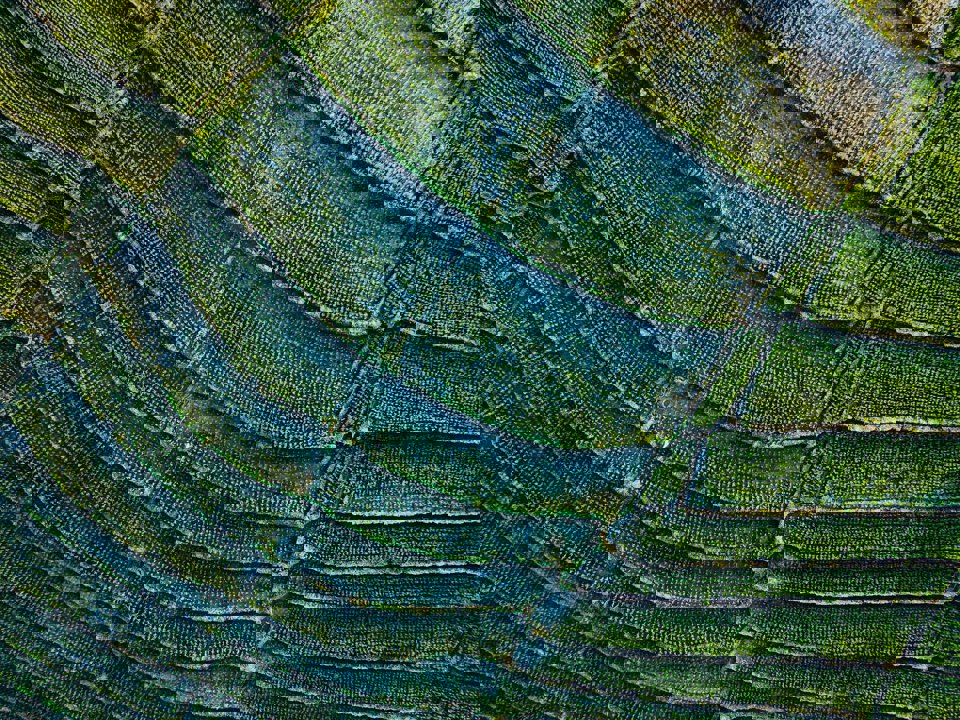 APG anchor investor in Environmental Opportunities Fund | Homepage ...