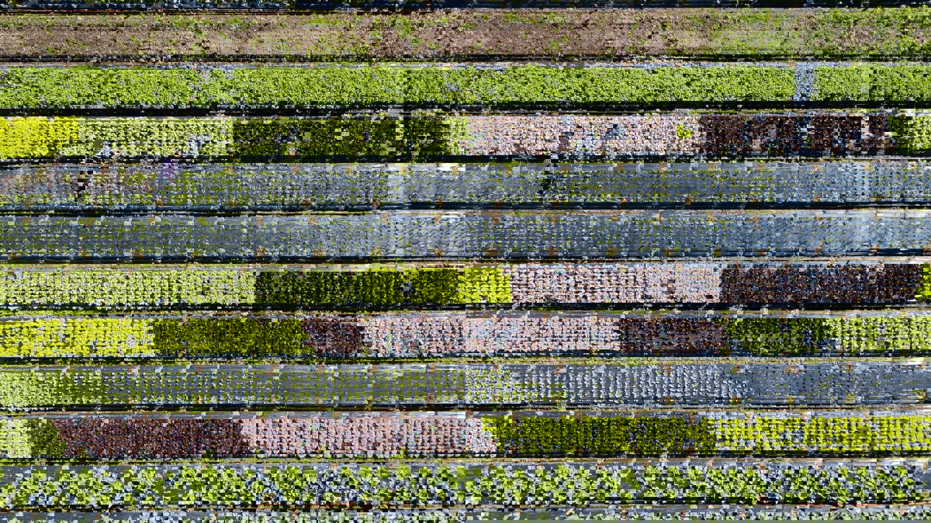 APG anchor investor in Environmental Opportunities Fund | Homepage ...