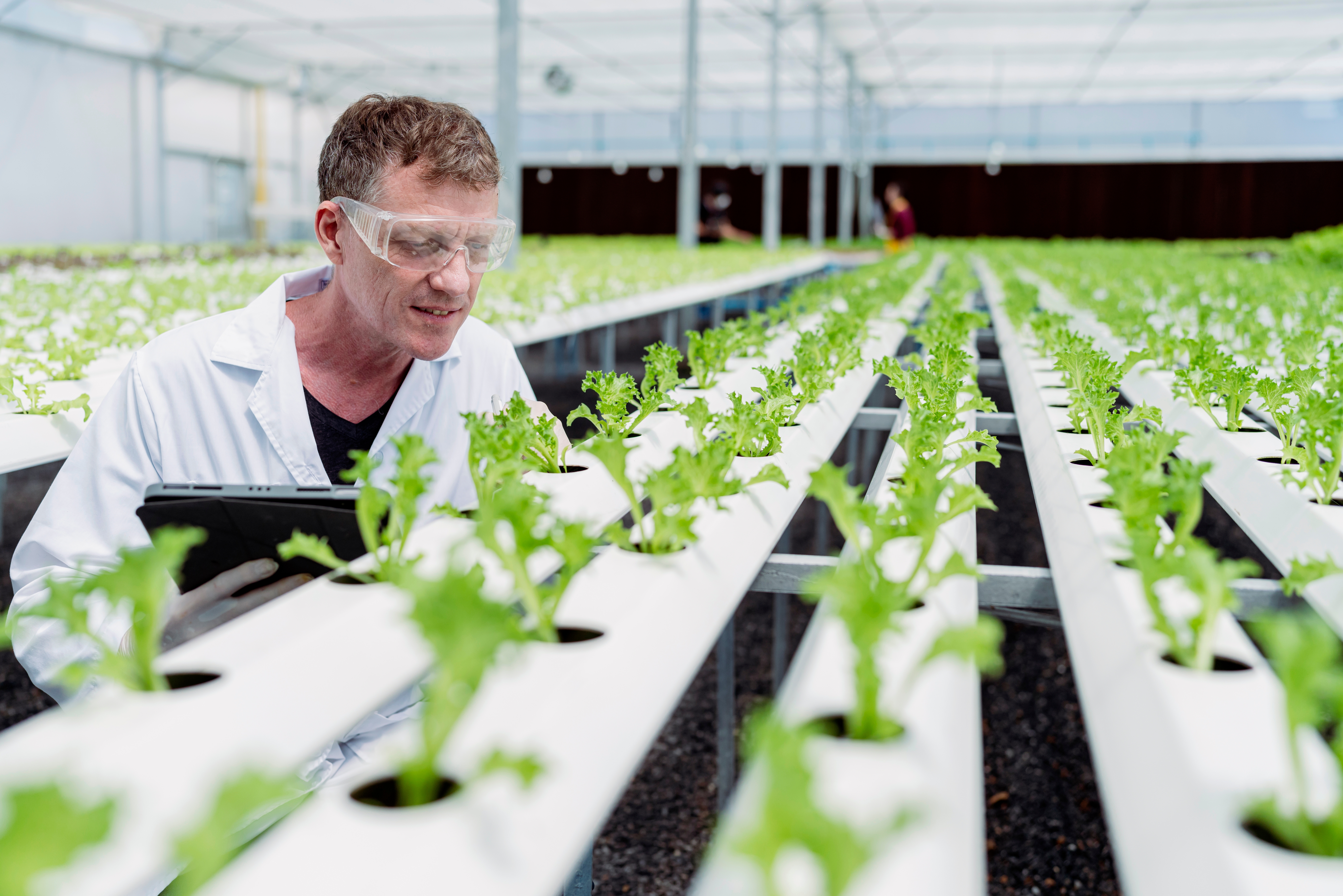 APG becomes investor in Colesco's direct lending platform | Homepage ...